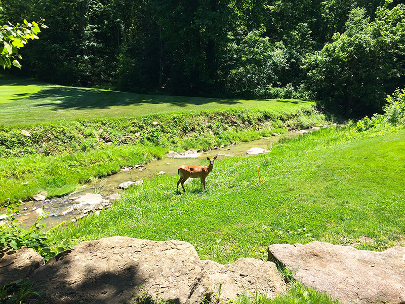 Photo Gallery - Aston Oaks Golf Club